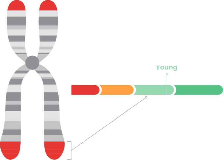 TeloTest™ - DNA Biological Aging Testing | Fagron Genomics US